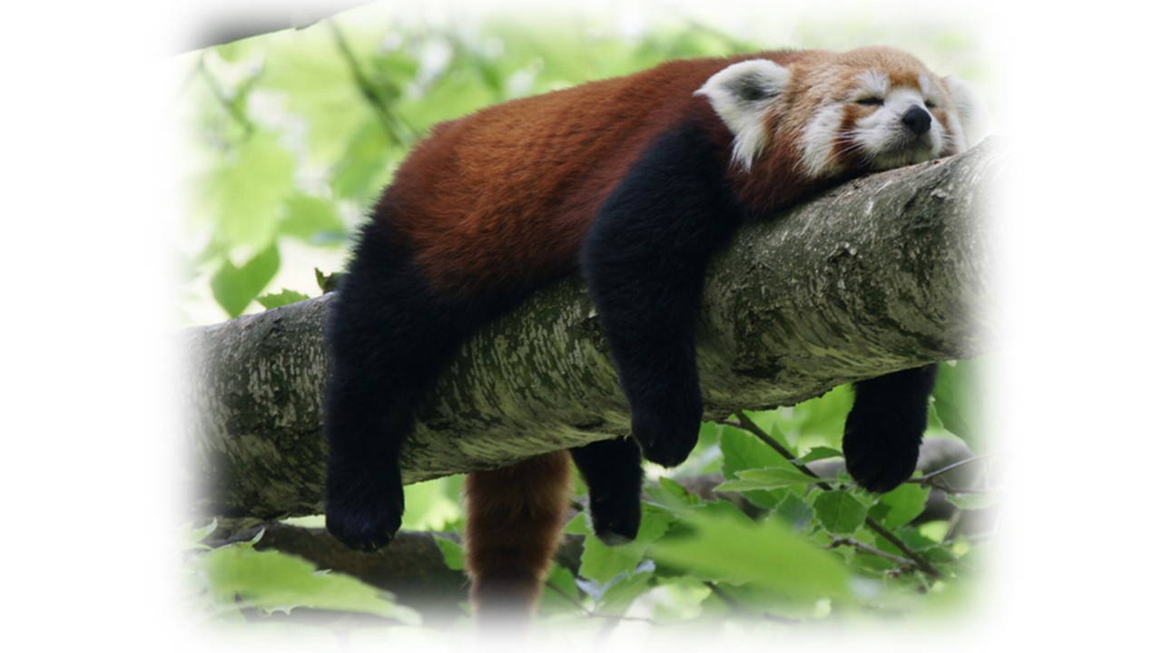 The “Rest Revolution” – 7 Types of Rest | HW Wellbeing & Recovery College